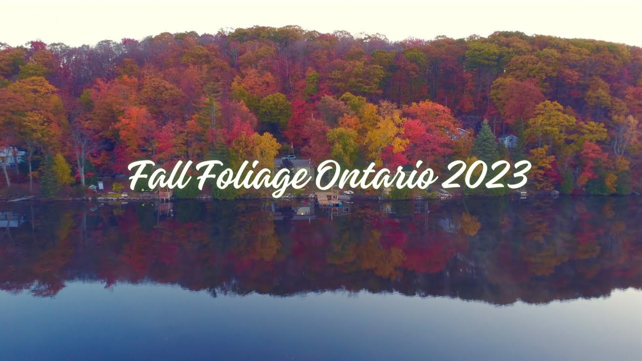 DRONE FOOTAGE of FALL FOLIAGE 2023 - Ontario, Canada - YouTube