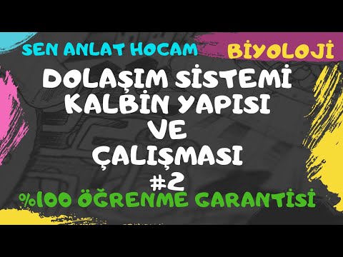 DOLAŞIM SİSTEMİ KONU ANLATIMI 3 | KALBİN ÇALIŞMASI | AYT BİYOLOJİ | ✅