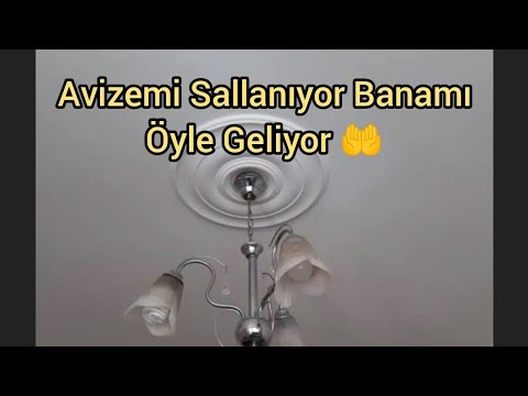 Deprem mi Oluyor? Lamba Kendi Kendine mi Sallanıyor? | Komedik Ev Canlandırması 😂