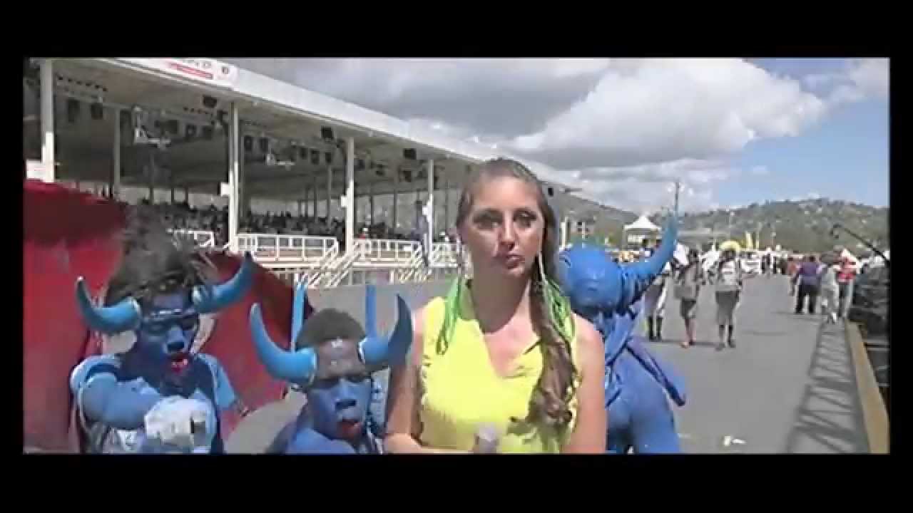 Trinidad Carnival '15: 'Blue-Devil Barrage' - YouTube