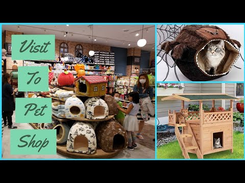 Visiting a japanese pet store |food & accessories |#NazDailyvlogs - YouTube