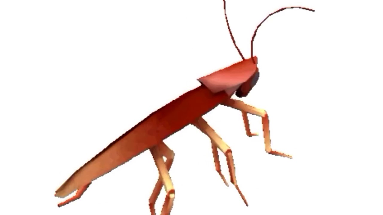 Dancing cockroach meme - YouTube