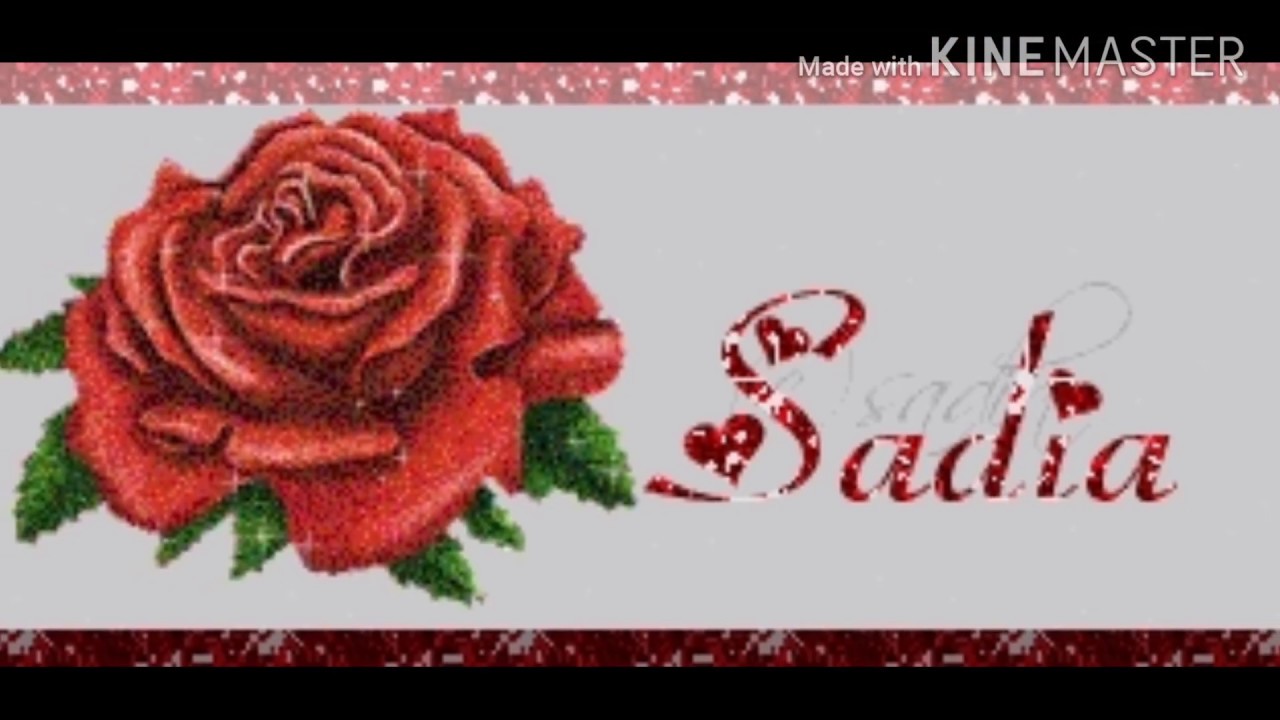 Sadia name Whatsapp status || Romantic WhatsApp status - YouTube