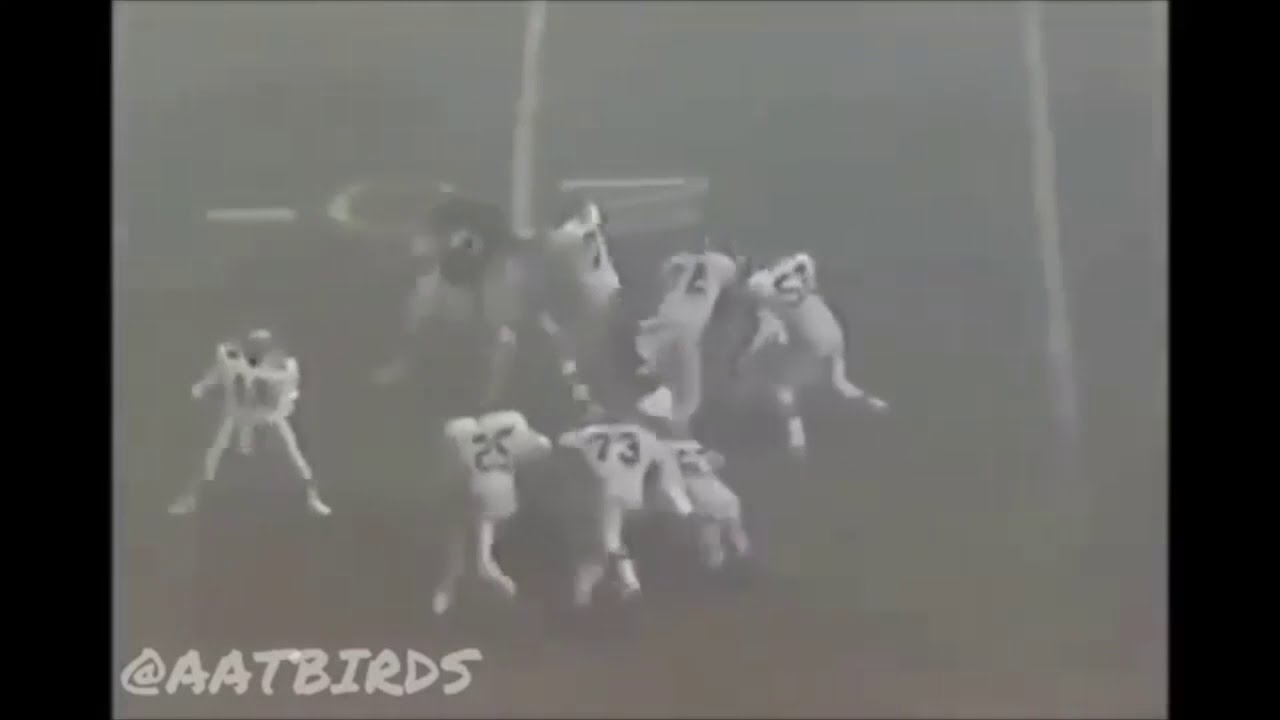 Philadelphia Eagles Fog Bowl-1988 Divisional Rd vs Chicago Bears - YouTube