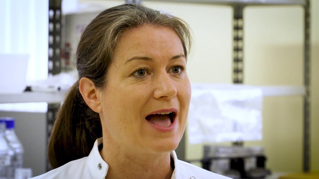 Advice for beef farmers from Orla Keane - a Teagasc researcher - YouTube