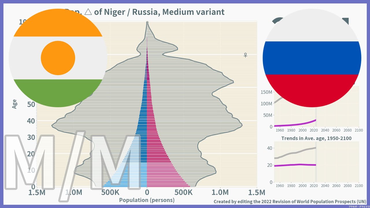 [🇳🇪Niger vs 🇷🇺Russia] Comparison of Population Pyramids (1950-2100 ...