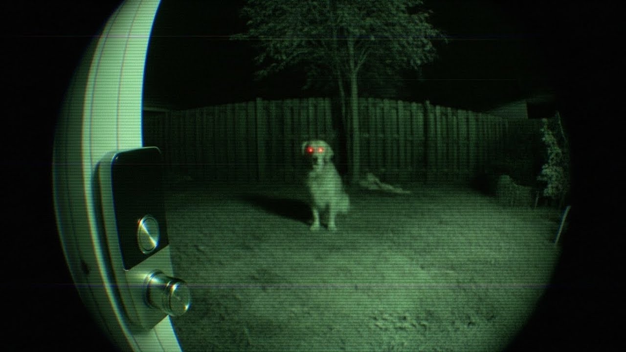 APPALACHIAN SKINWALKER DOG - YouTube