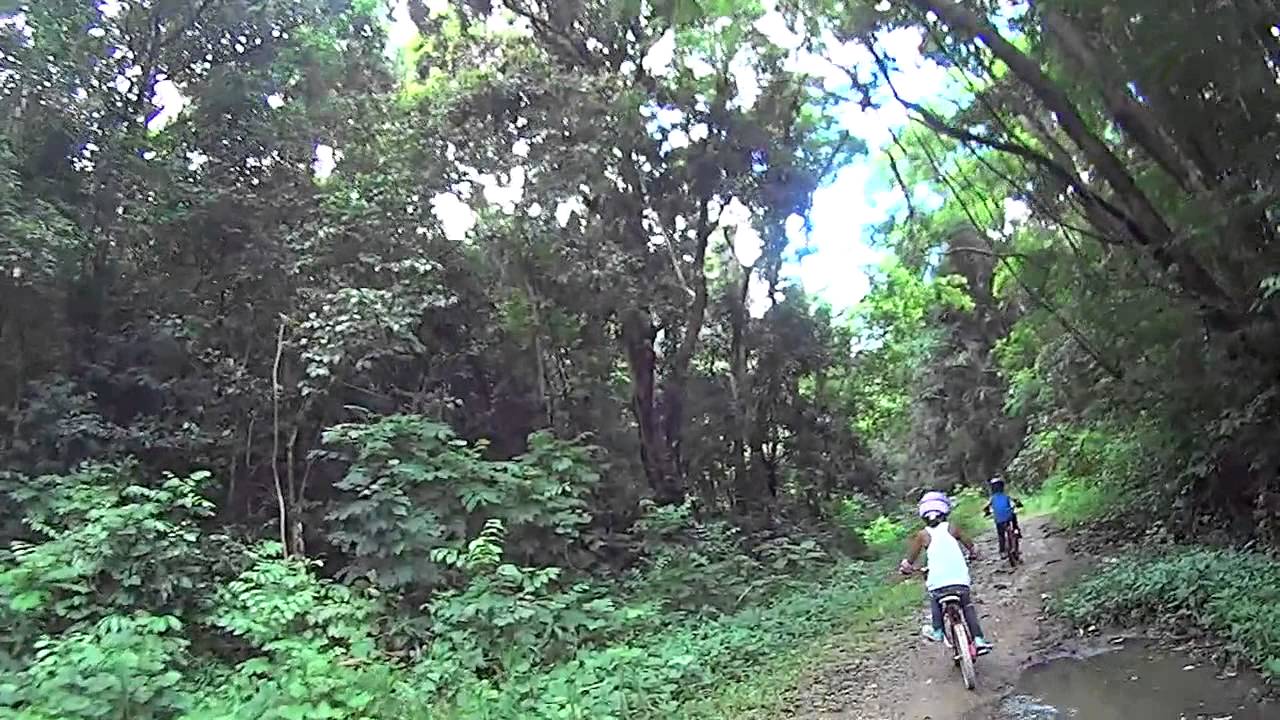 Parque Monagas / Bayamón - YouTube