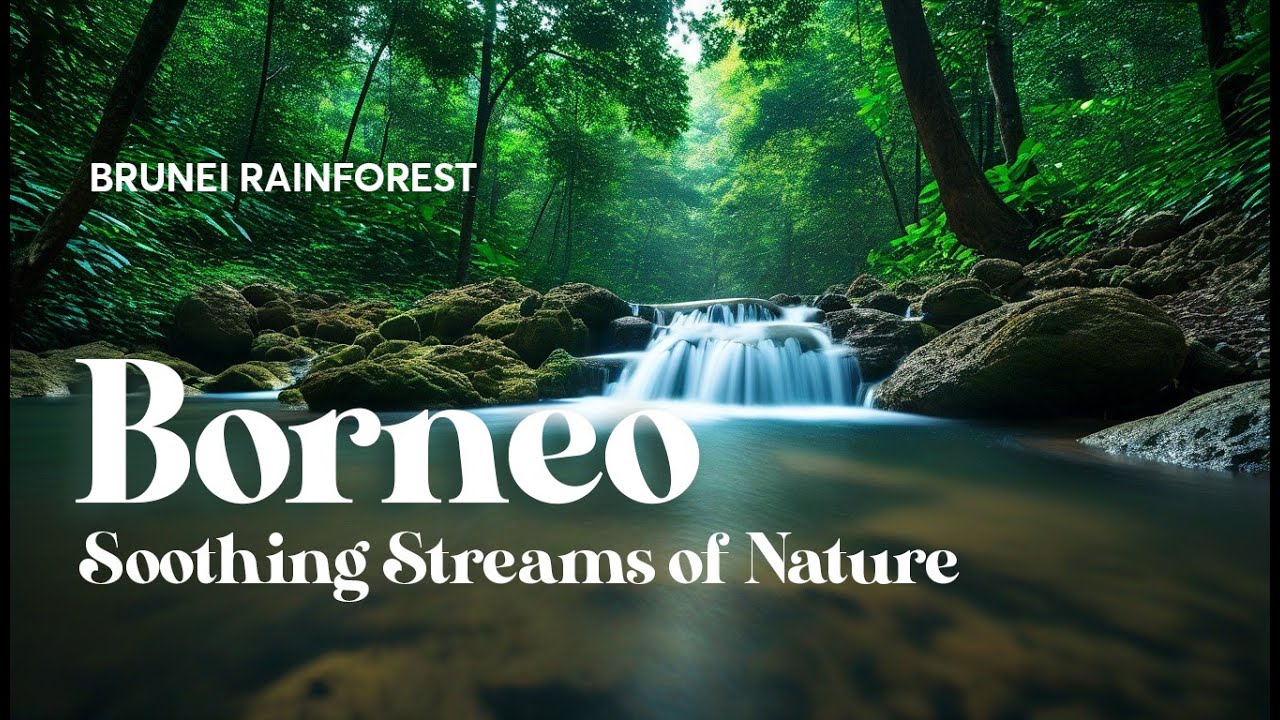 Borneo Brunei – Soothing Streams of Nature - YouTube