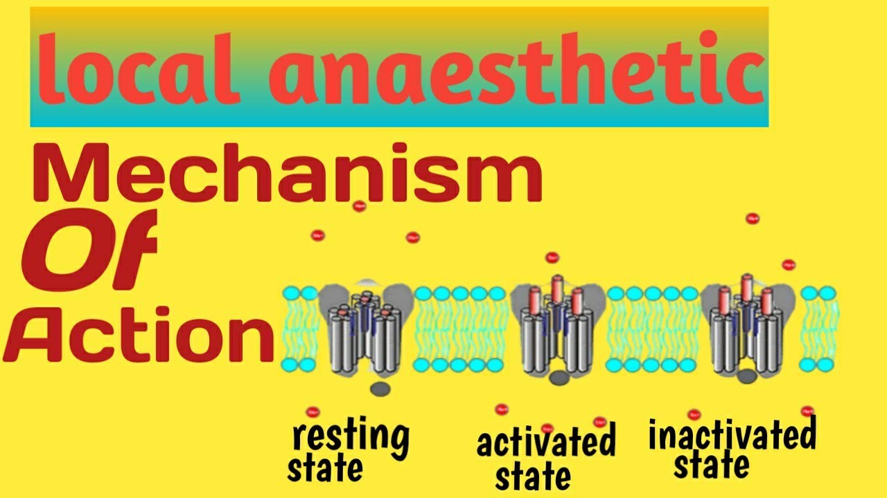 Local anaesthetic mechanism of action - YouTube