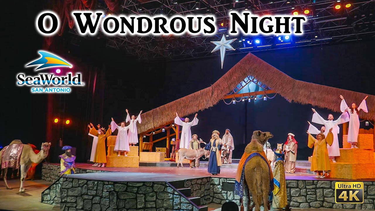 O Wondrous Night Full Show 4K SeaWorld San Antonio 2022 12 09 - YouTube