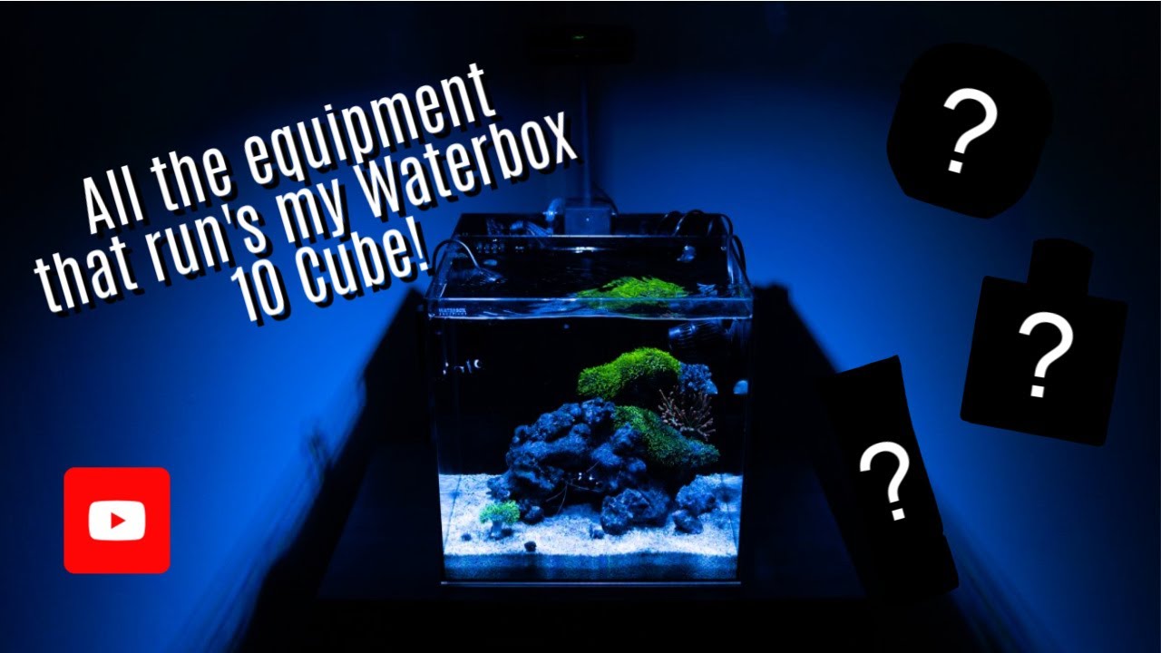 All The Equipment That Run's My Waterbox Nano Cube! - YouTube