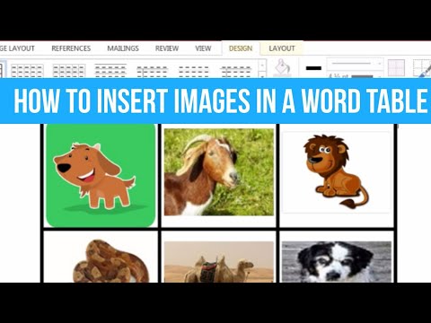 How to insert images into a table of MS Word - YouTube