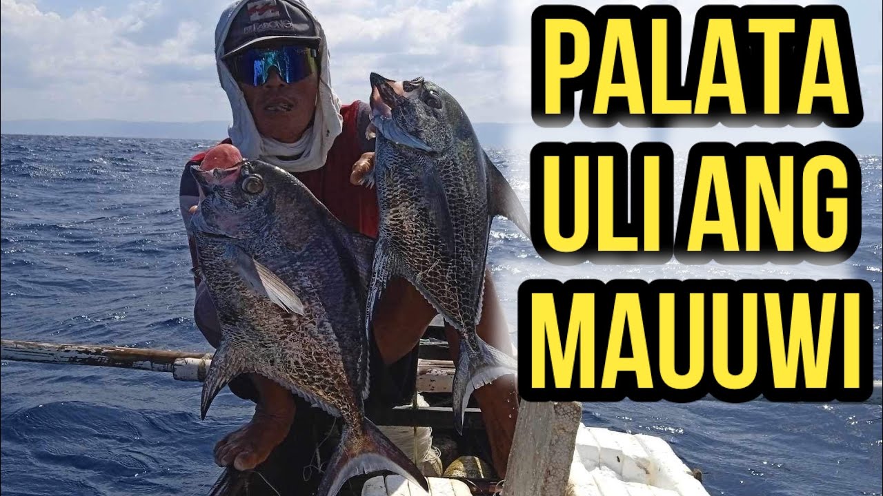 WHAT A CATCH TODAY !!! BIG SICKLE POMFRET | #fishing #hookfishing # ...