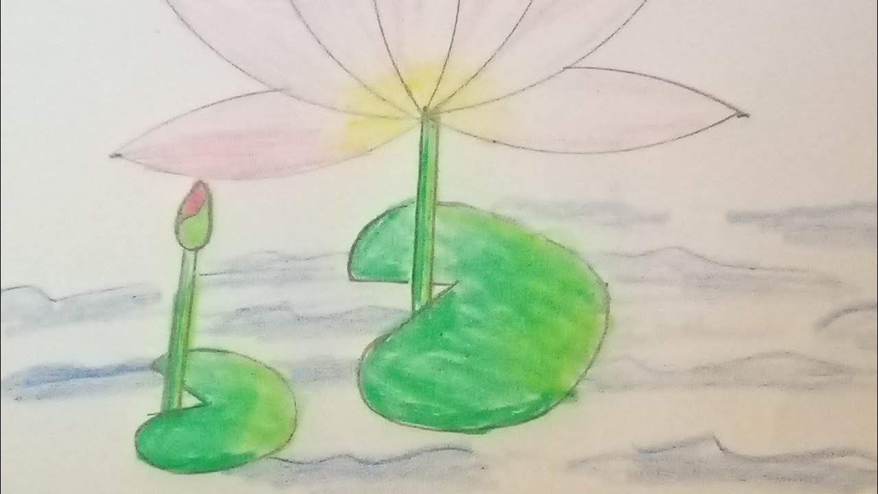 How to water lily...step by step(very easy) - YouTube