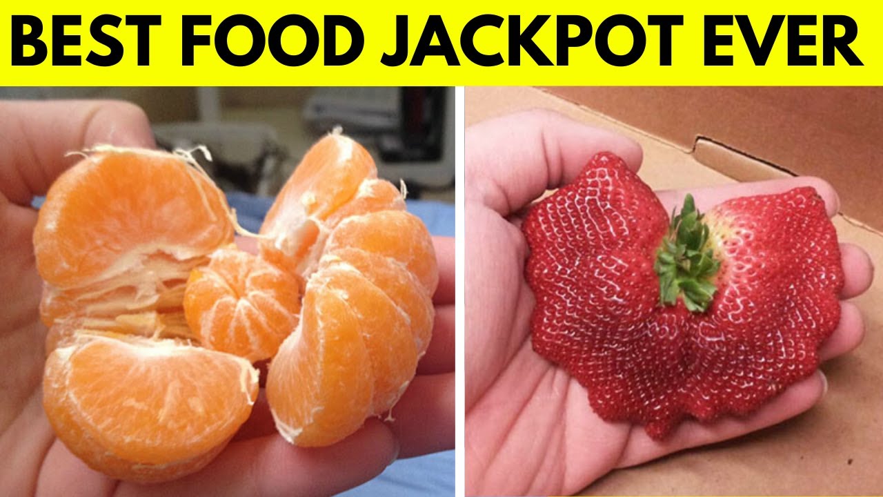 The Best Food Lottery Ever People Won. - YouTube