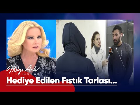 Fıstık tarlası ödül olarak mı verildi? - Müge Anlı ile Tatlı Sert