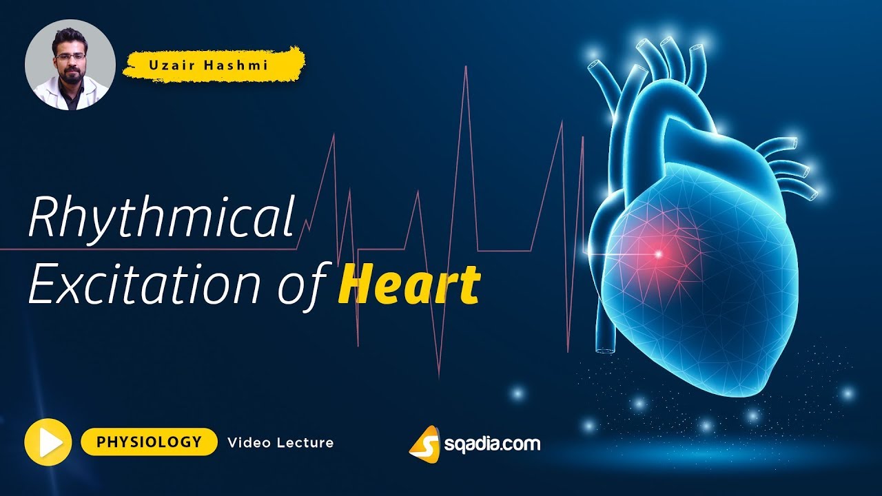 Rhythmical Excitation of Heart | Medical Physiology Lecture | Doctors V ...