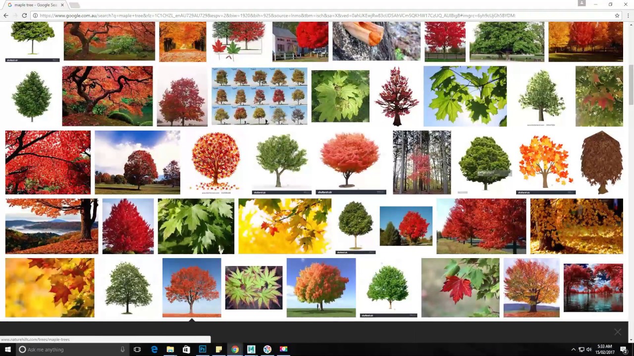 (1/6) Modelling a Low Poly Tree in Maya - YouTube