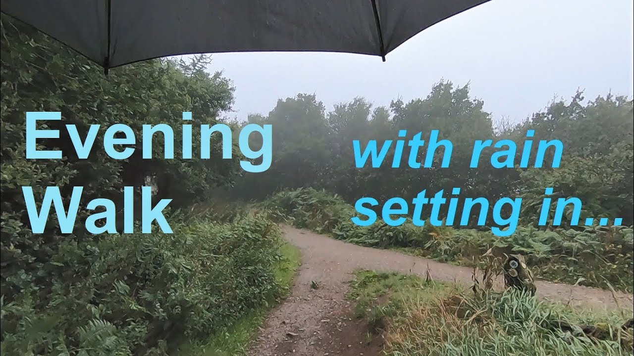 Walking Into Dark Forest In Rain & Wind - Evening Walk Through The ...