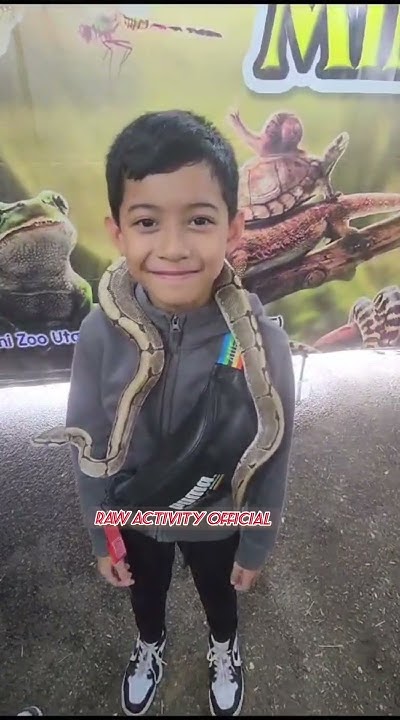 Hanging Ball Python On The Shoulders - YouTube