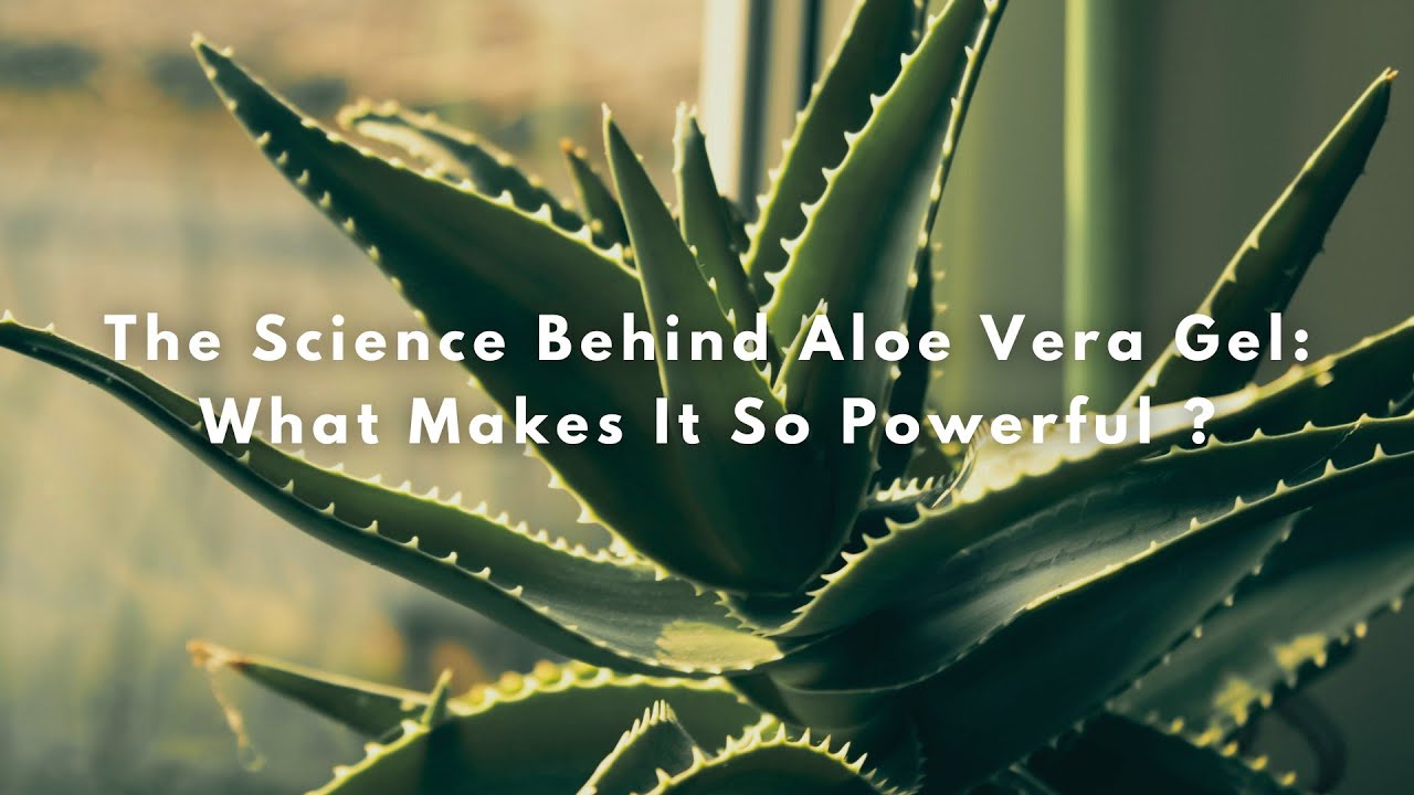 The Science Behind Aloe Vera Gel: What Makes It So Powerful ? - YouTube