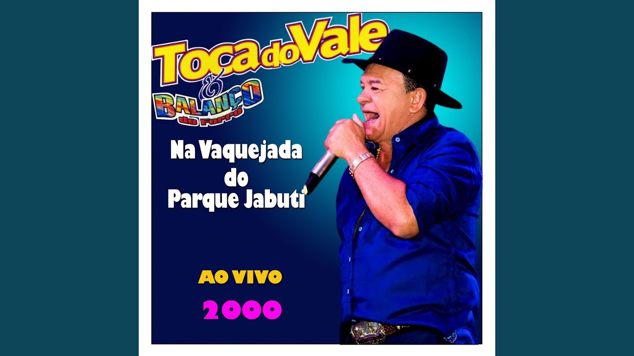 Momentos de felicidade - TOCA DO VALE - YouTube Music
