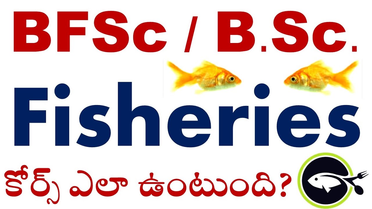 BFSc / BSc Fisheries కోర్స్ ఎలా ఉంటుంది? ఉద్యోగ అవకాశాలు fisheries ...
