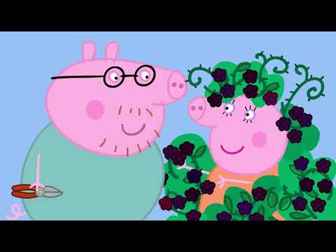 Peppa Pig Episodes Spring compilation Cartoons for Children - YouTube