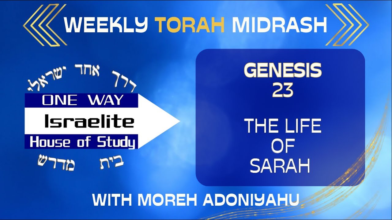 The Life of Sarah (Genesis 23) - YouTube