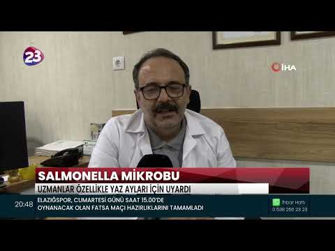 SALMONELLA MİKROBU