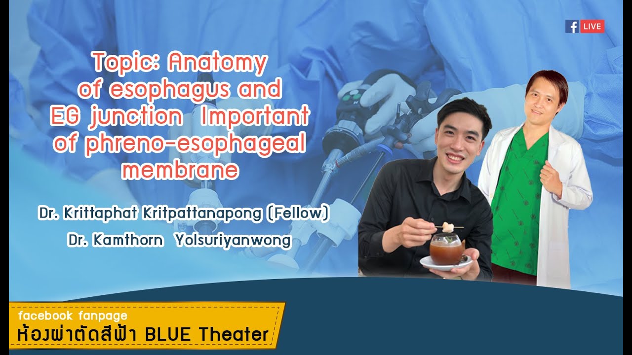 Esophagus and EG junction Anatomy, Important of phreno esophageal ...