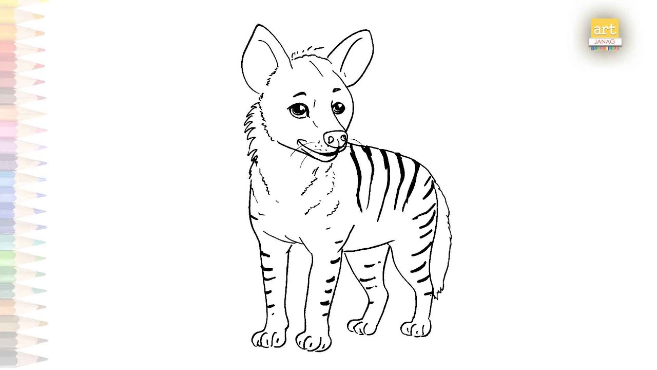 Striped hyena drawing easy | Animal sketches | How to draw Striped ...