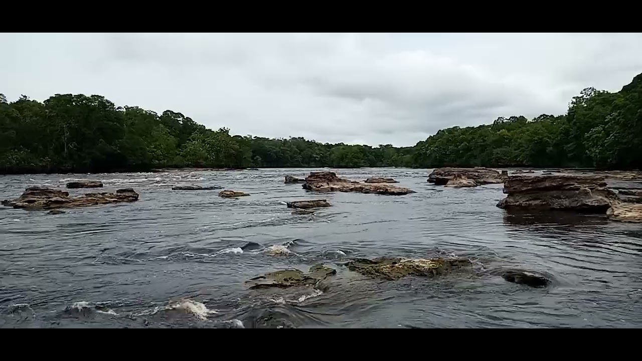 Jaú National Park in Amazonas , Brazil - YouTube