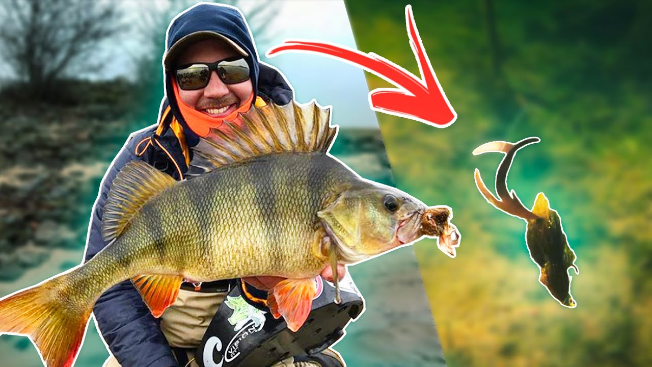 FLY TYING: Sculpin/Goby by Niklaus Bauer 👌 (Perch/Trout Streamer) - YouTube