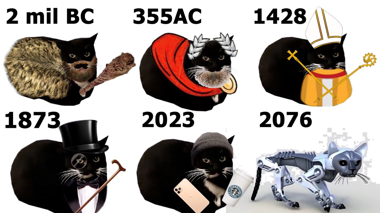 ALL evolutions of Maxwell Cat - YouTube