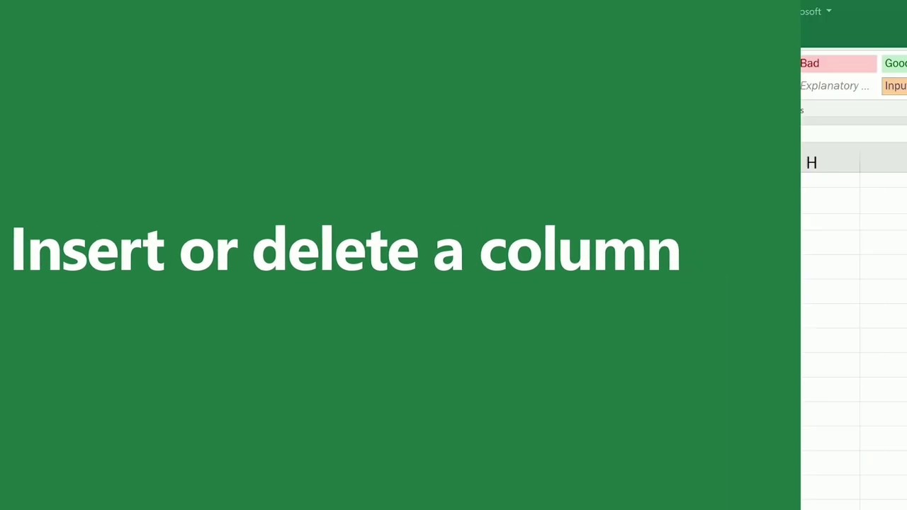 How to Insert or Delete Raw and Coloumn in Excel | Ms Office-Training ...