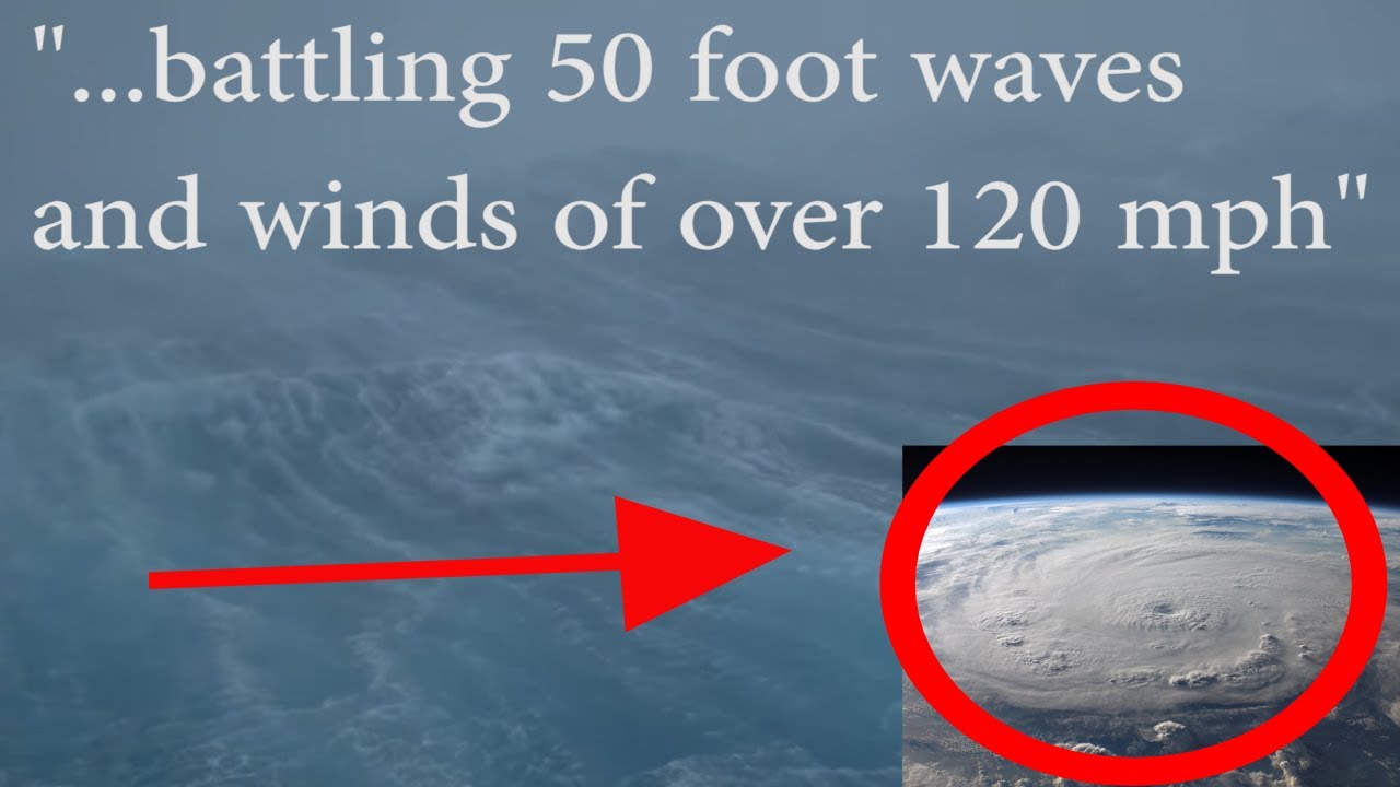 Nature News | Episode 2 - YouTube