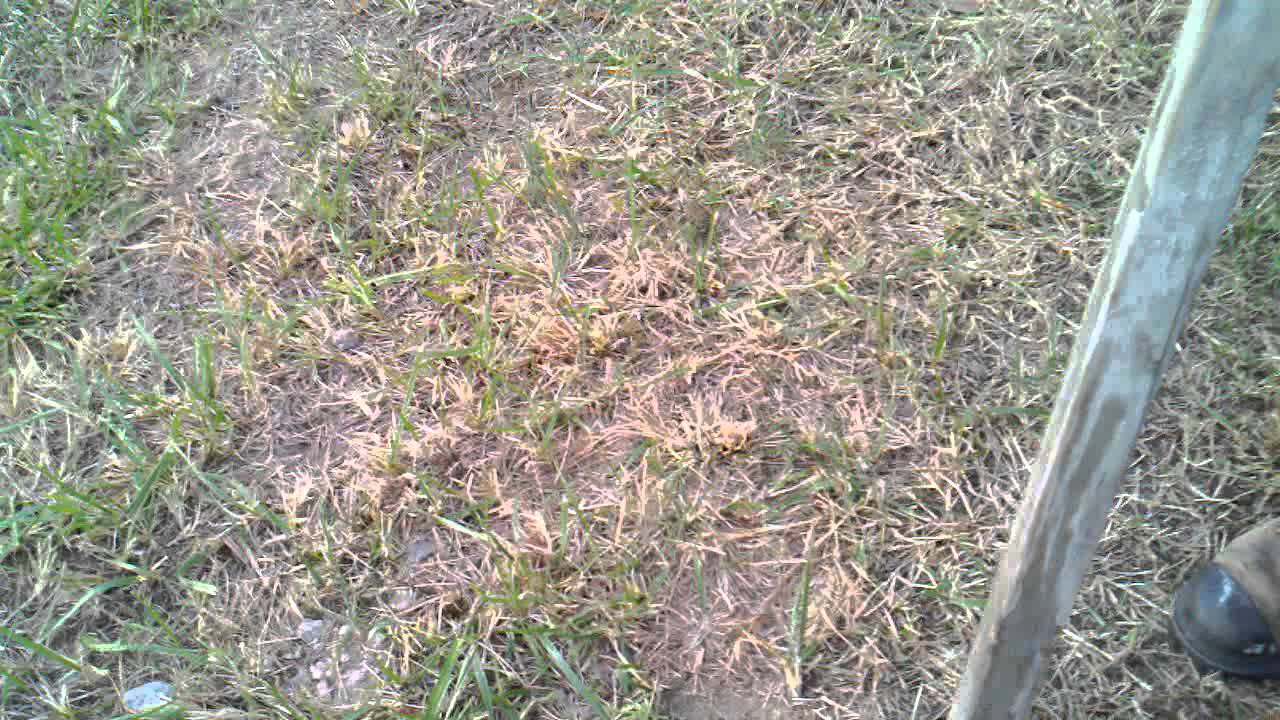 Filling Post Holes 2 - YouTube