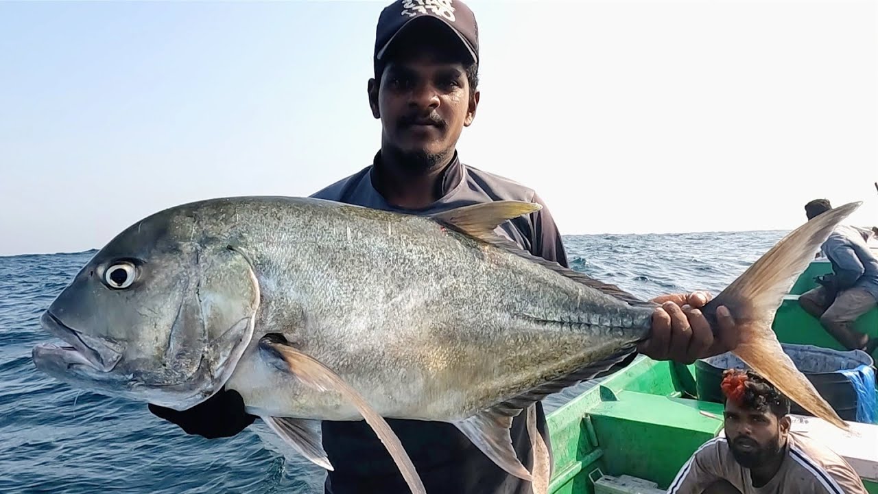 Catching Giant Trevally, Marine Cat Fish & Blubber Lip Snapper in Sea ...