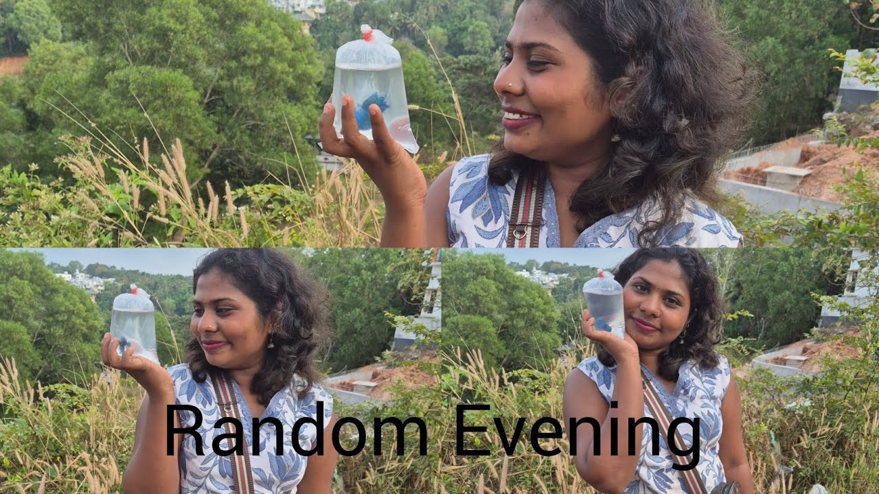 Random Evening Rush & Unexpectedly buying a new Fighter Fish 🐟 vlog #minivlog #vlog #diy - YouTube