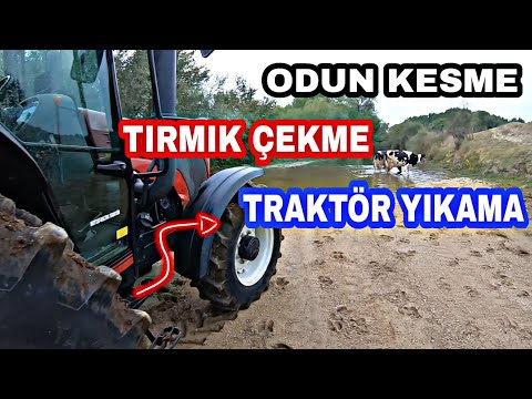 YORUCU BİR GÜN - Tarlaya Devrilen Ağaç - Hayvan Gübresini Dağıttım - Traktörü Derede Yıkadım