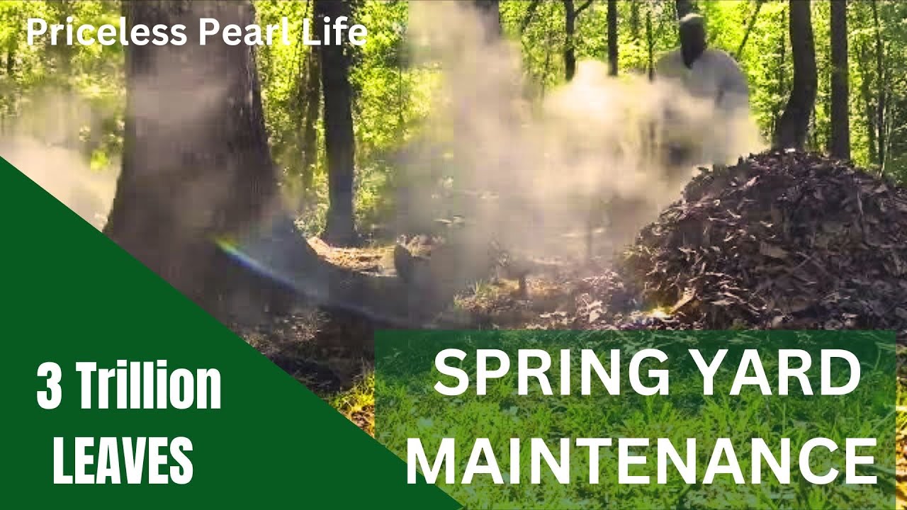 SPRING YARD WORK | YARD MAINTENANCE | RAKING LEAVES | LAWN CARE Episode ...