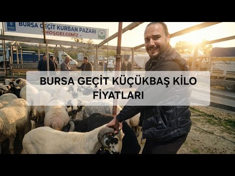 BURSA GEÇİT KURBAN PAZARI KÜÇÜKBAŞLAR 06.05.2026