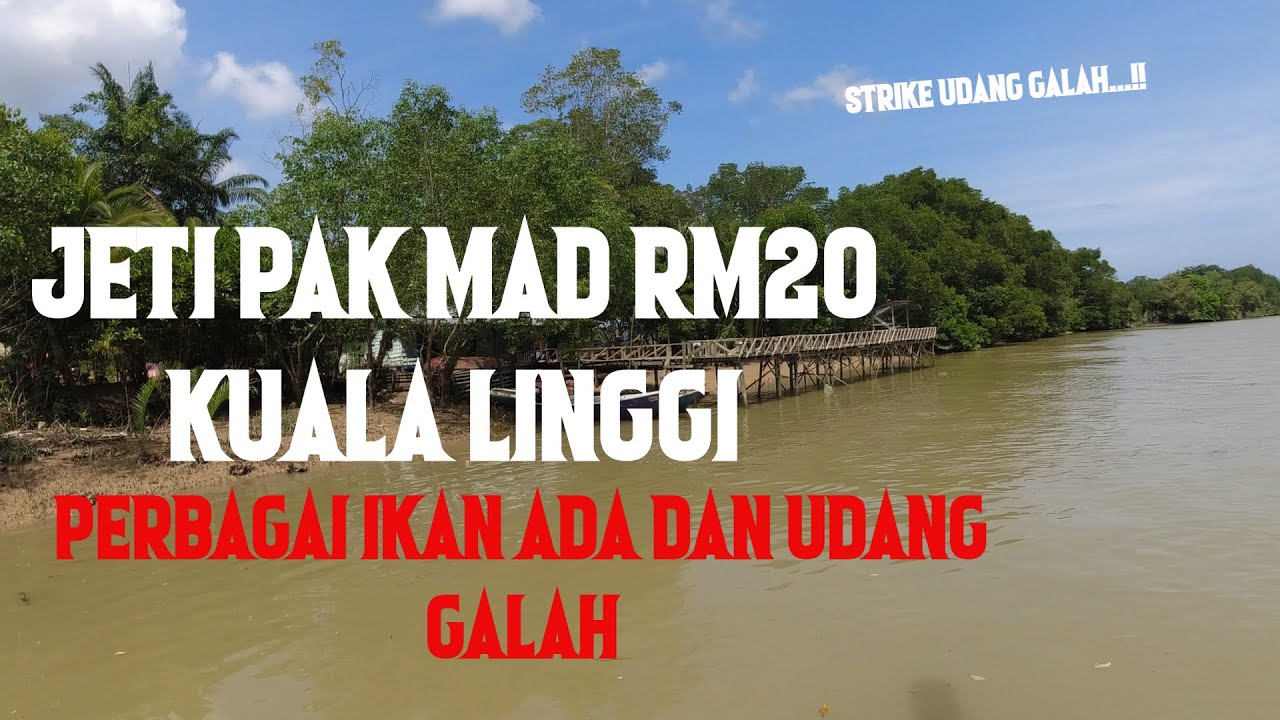 REVIEW Dan Memancing Di Jeti Pak Mad Kuala Linggi - YouTube