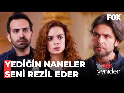 Ertan, Zeynep'e Hesap SORDU! - Aşk Yeniden 53. Bölüm