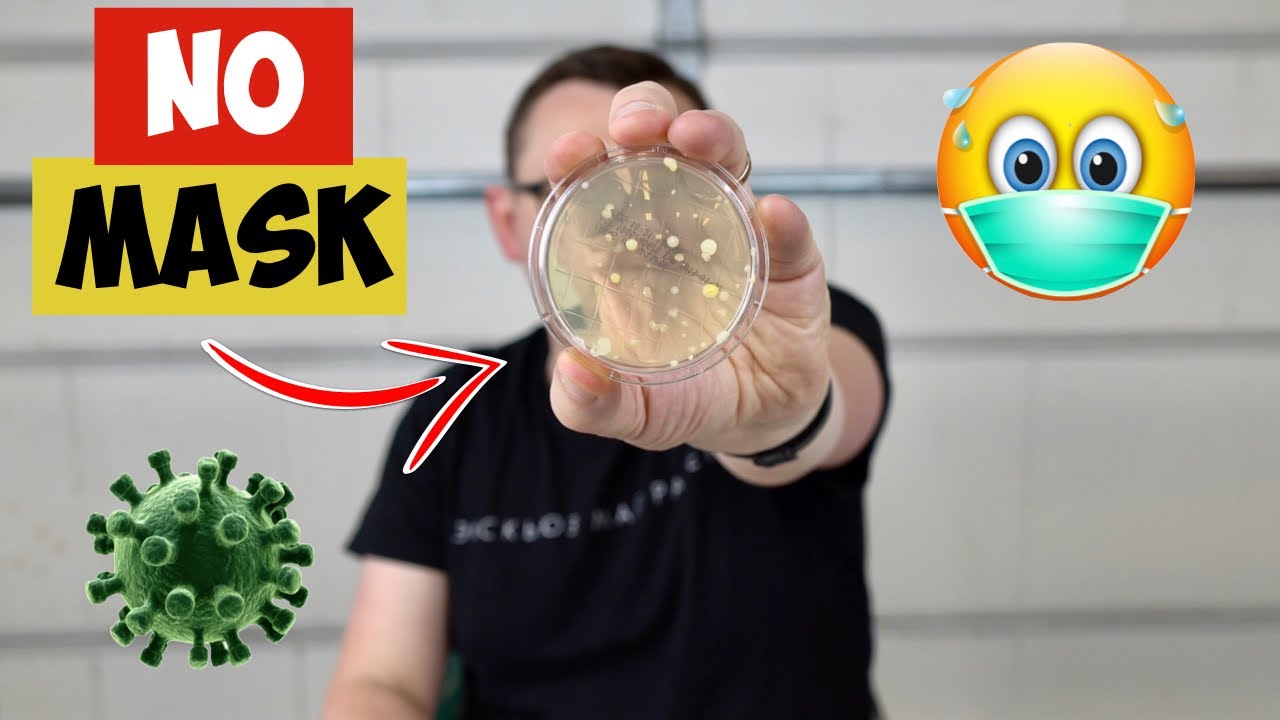 Face Mask Efficiency Test With Petri Dishes [Crazy Results] - YouTube