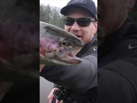 Trout Fishing with 1 OR 2 Trout Eggs??!!?? #shorts #trout #troutfishing #fishing