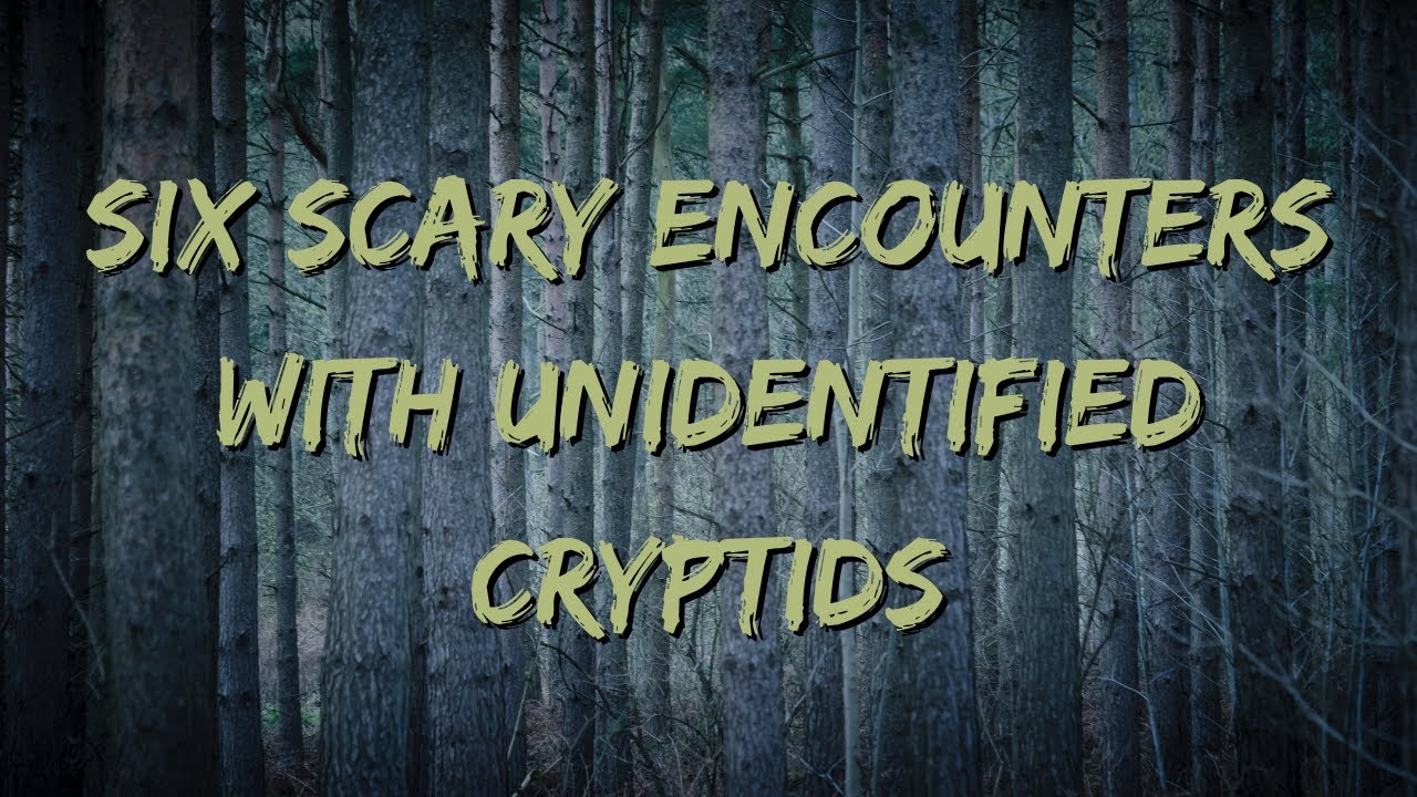 Six Scary Encounters with Unidentified Cryptids - YouTube