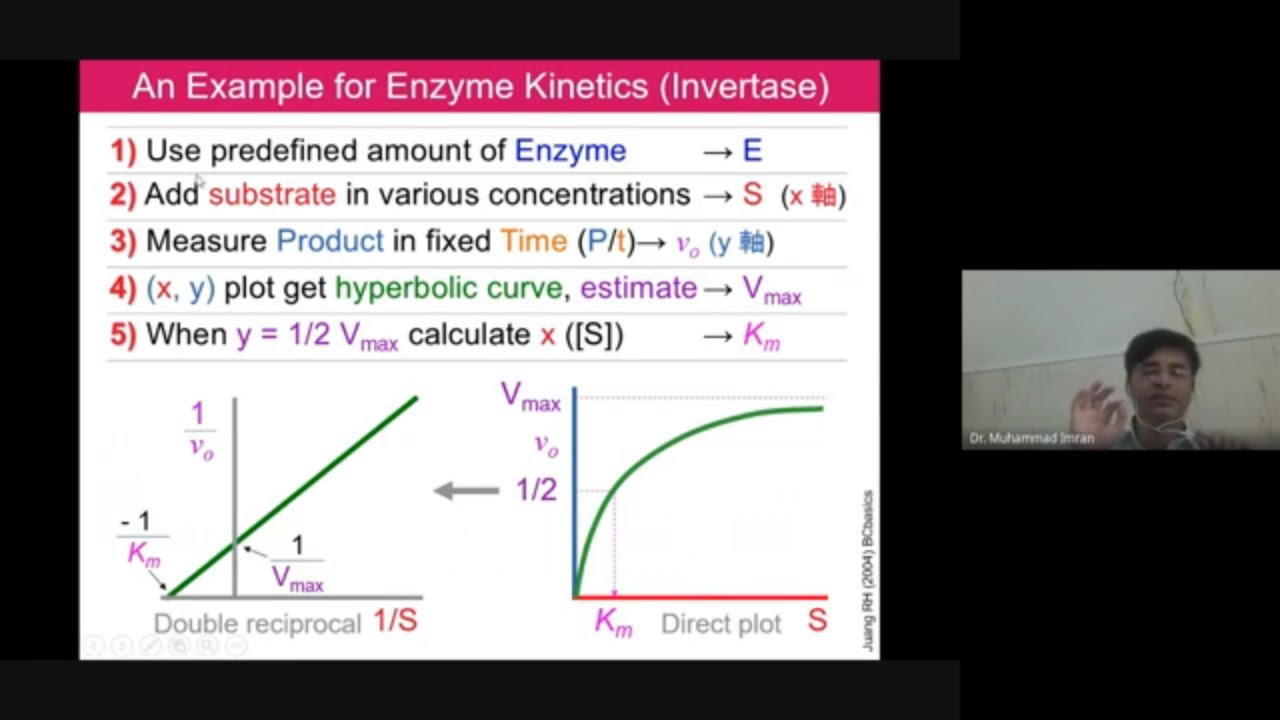 Enzyme Kinetics and its parameters in ENGLISH - YouTube